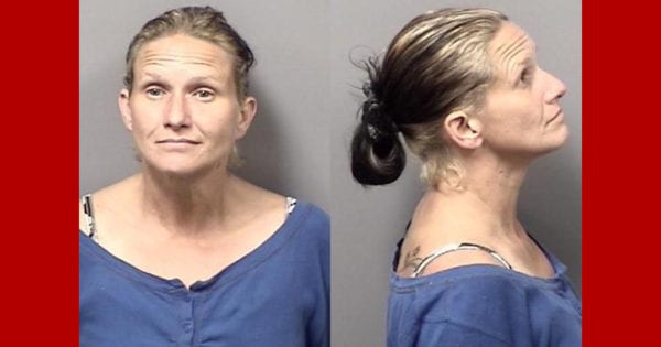 CHRISTY MICHELLE NICHOLS - citruscountybusted.com