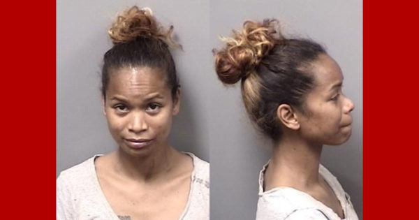 KIMBERLY ANNE ERICSON - citruscountybusted.com