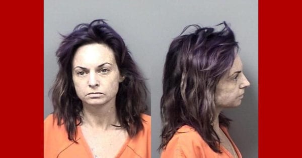 LAYLA HERRING - citruscountybusted.com
