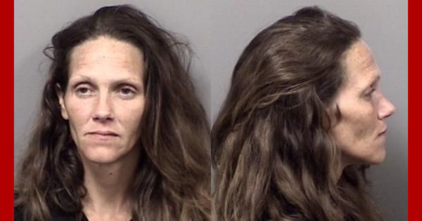 AMANDA DENISE GRUBB - citruscountybusted.com