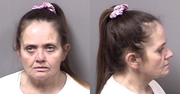 DEENA MARIE ONEAL - citruscountybusted.com