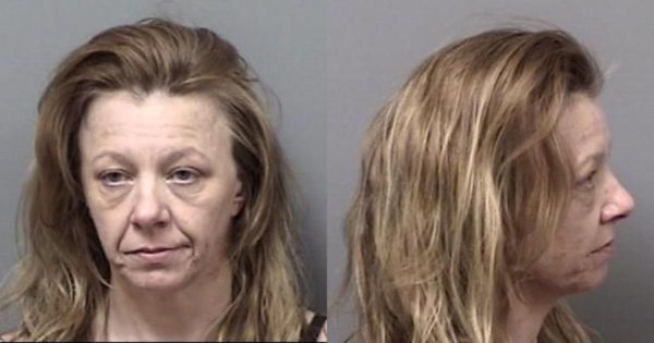 JENNIFER COLLEEN OBRIEN - citruscountybusted.com