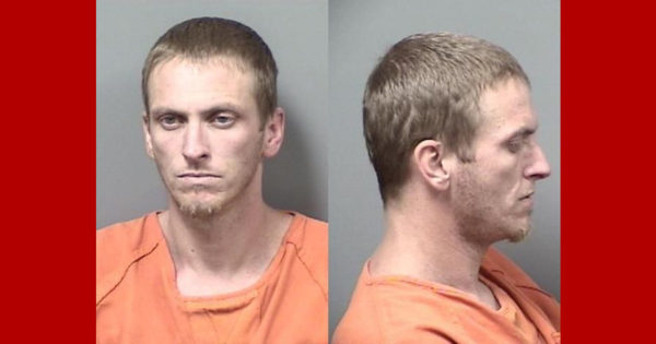 BRIAN JAMES MIKKELSON - citruscountybusted.com