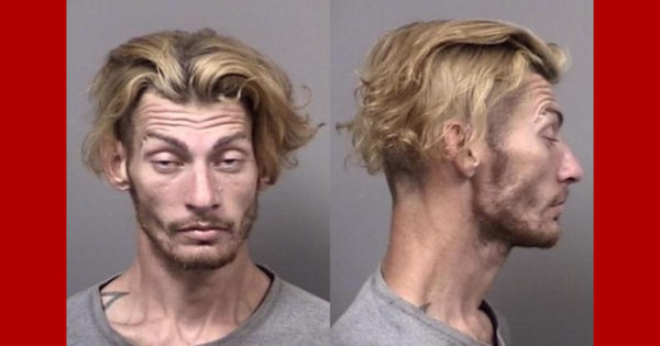 DAKOTA LEE TEDDER - citruscountybusted.com