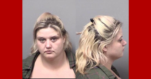 JESSICA LYNN GABBARD - citruscountybusted.com