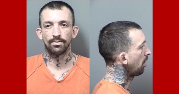 MICHAEL DAVID GOODROW - citruscountybusted.com