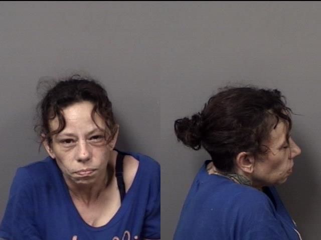 APRIL LIN BOWERS of INGLIS - citruscountybusted.com