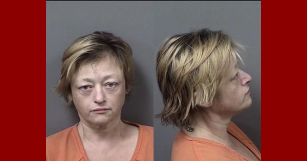 APRIL DAWN HOFFMAN of DUNNELLON - citruscountybusted.com