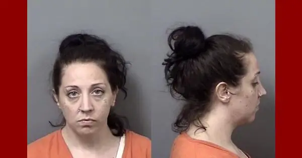 HOLLY RACHELLE PINNEY of HERNANDO - citruscountybusted.com