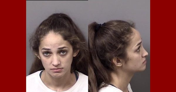 JESSE ARLENE MATHERS of BEVERLY HILLS - citruscountybusted.com