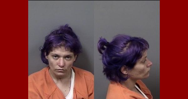 MEGAN THERESA STERGIOS of HERNANDO - citruscountybusted.com