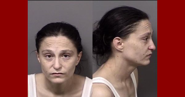 REBECCA ANN BILODEAU of BEVERLY HILLS - citruscountybusted.com