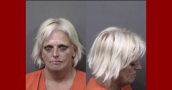RHONDA RENEE RIDLEY of HOMOSASSA - citruscountybusted.com