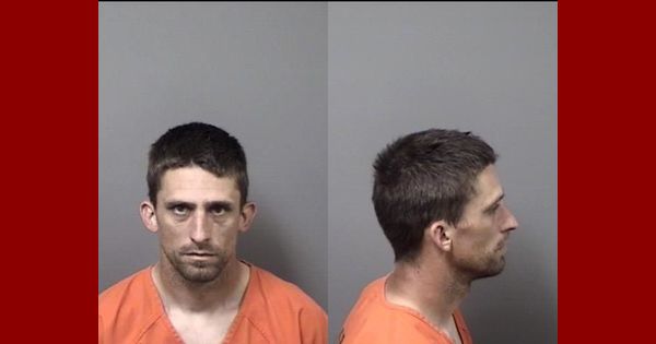 MICHAEL KENNETH LEA of HOMOSASSA - citruscountybusted.com