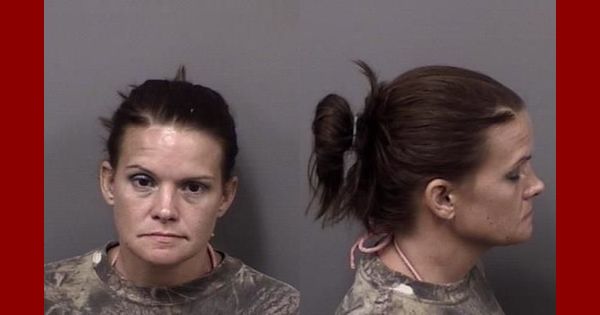 AMY LOU MCGLOCKLIN of CRYSTAL RIVER - citruscountybusted.com