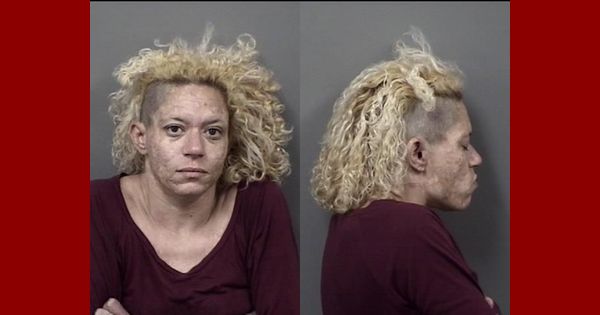 ANGELIQUE PAULINE FITZPATRICK of FLORAL CITY - citruscountybusted.com