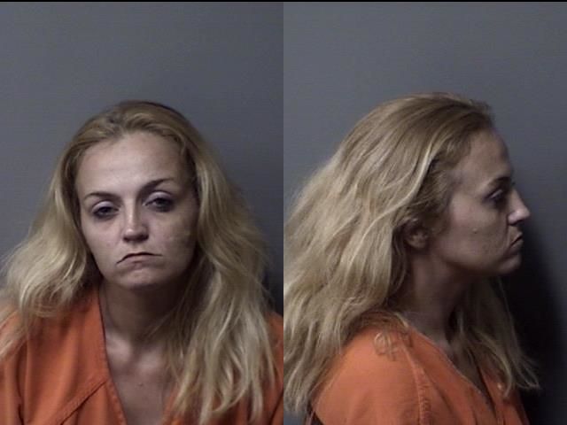 TIFFANY LYNN ELLISON of FLORAL CITY - citruscountybusted.com