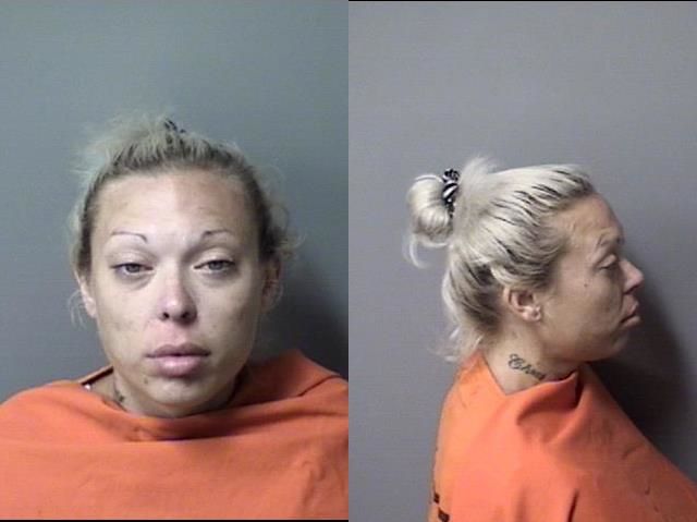 BRITTANY NOEL BRAGG of NEW PORT RICHEY - citruscountybusted.com