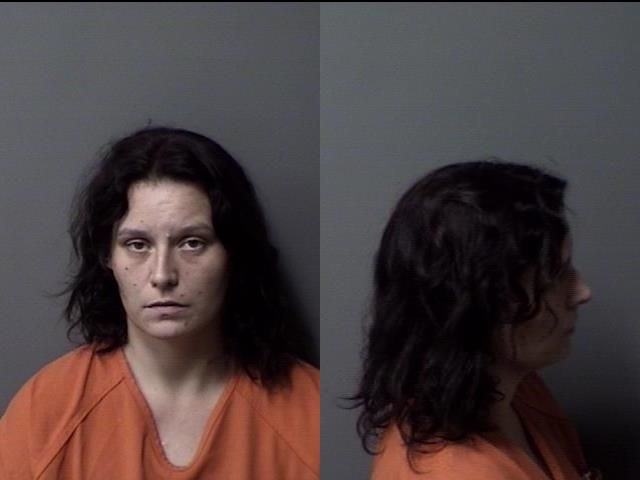 ELANA SUE ROGERS of INGLIS - citruscountybusted.com