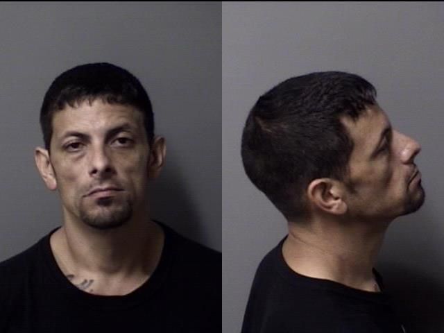 LUCAS FRANK JOHN CALCAGNI of HERNANDO - citruscountybusted.com