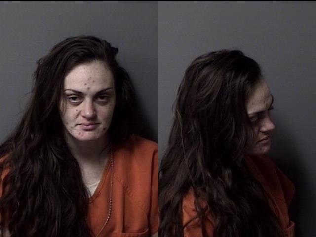 PATRICIA NICHOLE HALL of HERNANDO - citruscountybusted.com