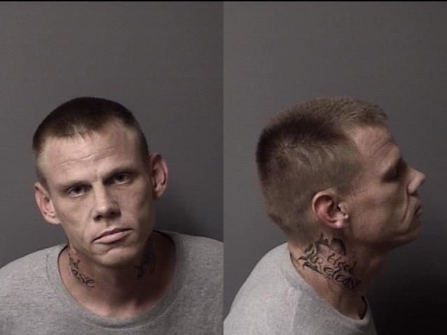 SHANE ROGER SIMMS of HOMOSASSA - citruscountybusted.com