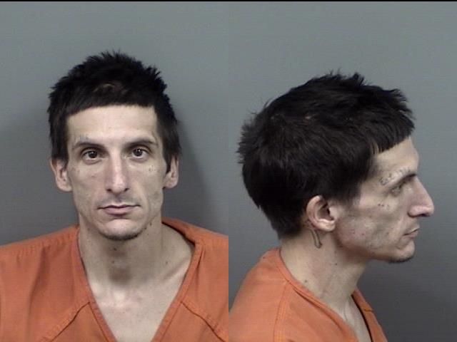 BENJAMIN DREW RHODES of HERNANDO - citruscountybusted.com