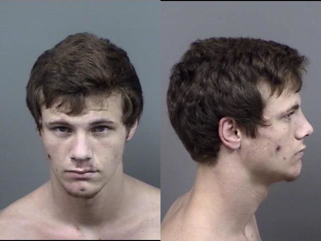 SETH ALLAN RISNER of HOMOSASSA - citruscountybusted.com