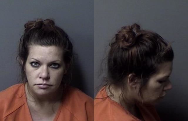 BRANDY NICOLE RISNER of DUNNELLON - citruscountybusted.com