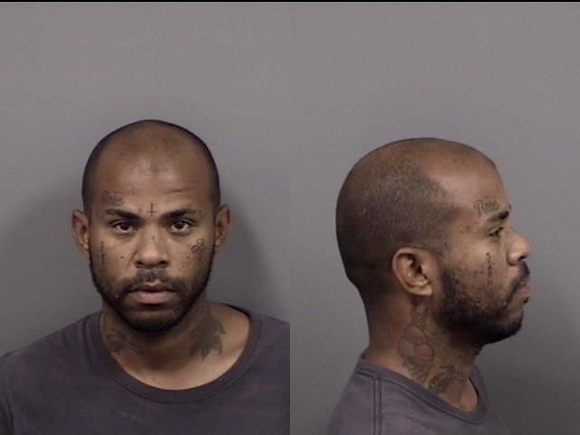 JOSEPH GERALD MINGO of HOMOSASSA - citruscountybusted.com