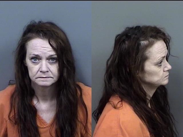 LISA GAIL MATTSON of LECANTO - citruscountybusted.com