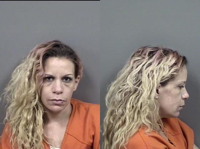 REBECCA LYNN ARNDT of FLORAL CITY - citruscountybusted.com