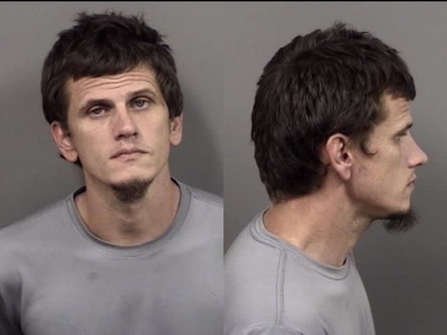 TROY HILTON PITTMAN of INVERNESS - citruscountybusted.com