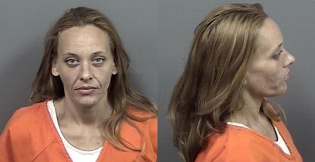 CHARLENE DAWN ROBERTS of HOMOSASSA - citruscountybusted.com