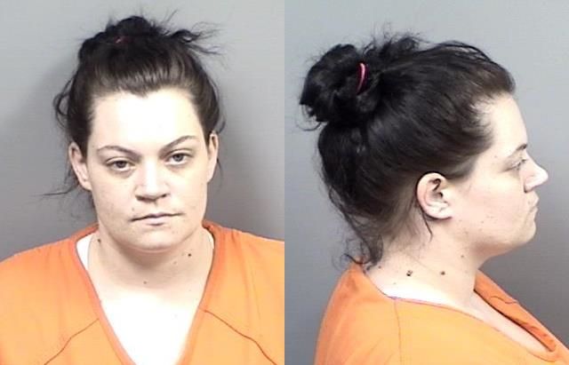 DEBORAH NICOLE RODDENBERRY of HERNANDO - citruscountybusted.com