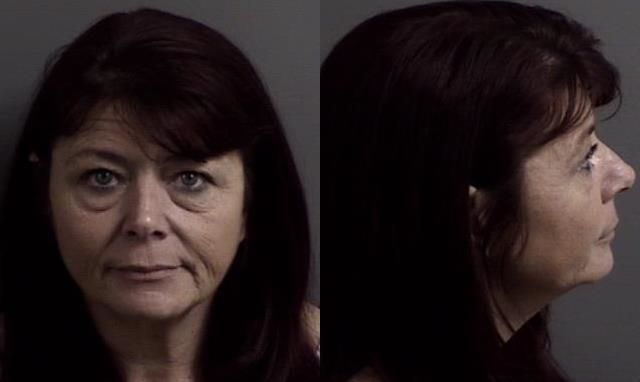 TRACY RENEE HIGGINS of CRYSTAL RIVER - citruscountybusted.com