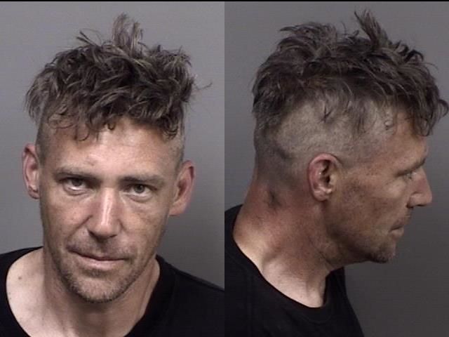 DYLAN RANDOLPH WHITMAN of TOLEDO - citruscountybusted.com