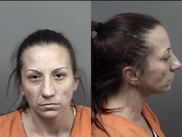 JAMIE MICHELLE JACOBSON of DUNNELLON - citruscountybusted.com