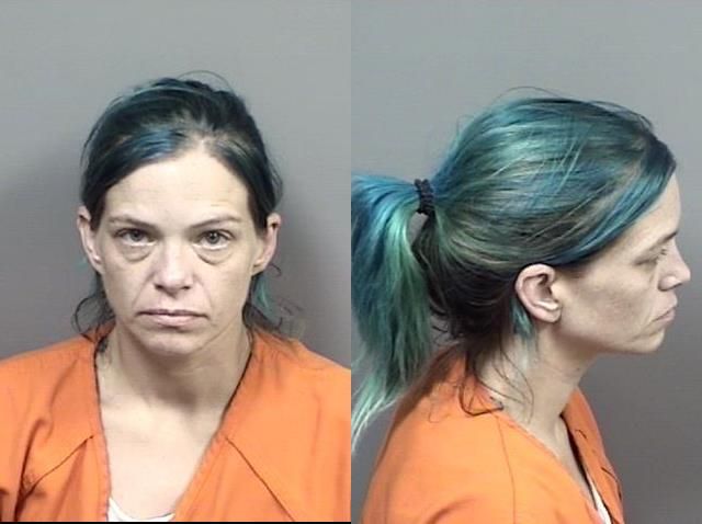JENNIFER BROOKE ANGLE of LECANTO - citruscountybusted.com