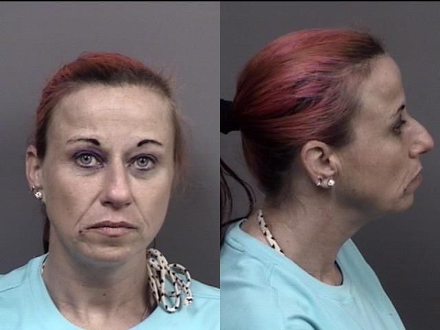 VICKI GAIL LAY of HERNANDO - citruscountybusted.com