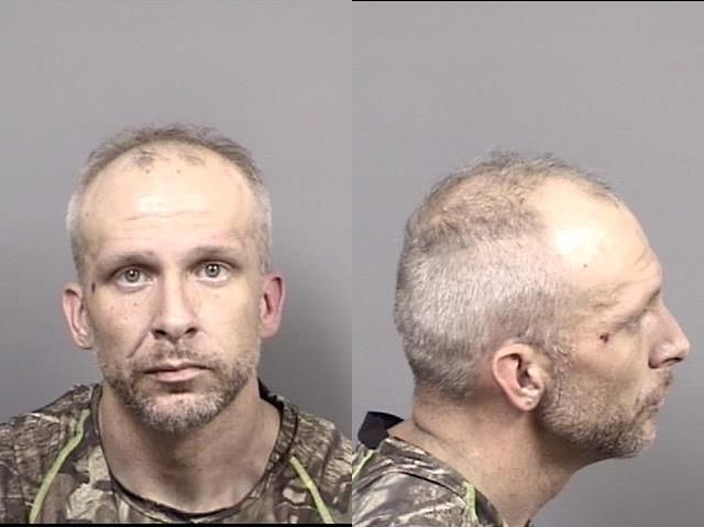 ANDREW WILLIAM BRINN of HOMOSASSA - citruscountybusted.com