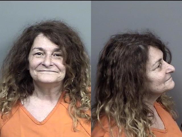 LISA ANN STERGIOS of HERNANDO - citruscountybusted.com