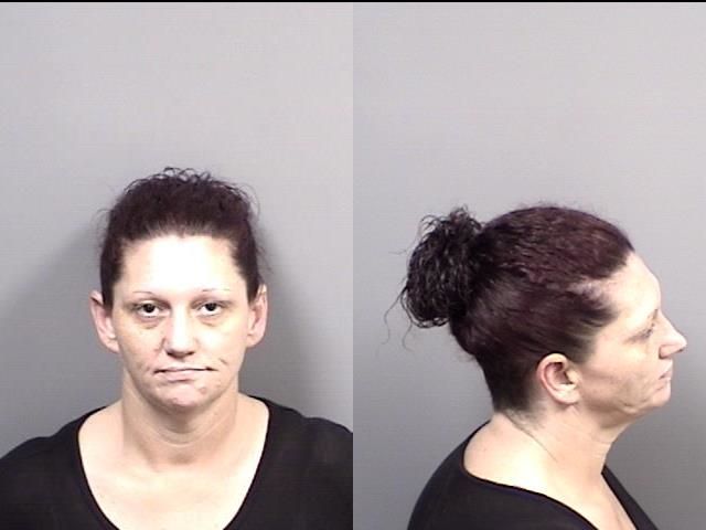 BRIDGET SUE WALTERS CUBBAGE of HOMOSASSA - citruscountybusted.com