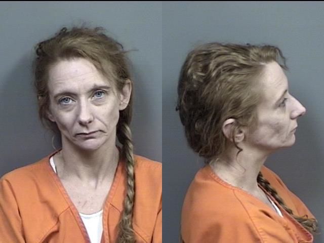 CHRISTINE ANN COLLIER of CRYSTAL RIVER - citruscountybusted.com