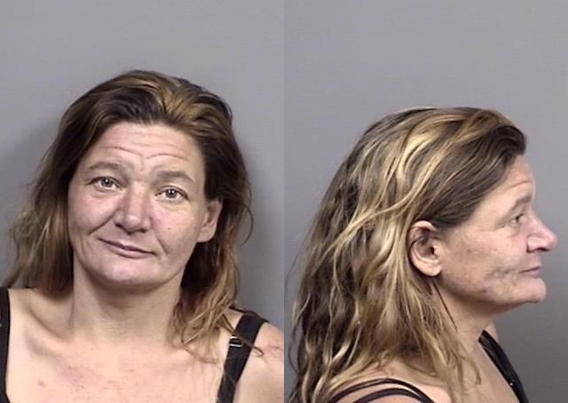 COLLEEN ANN FRANZEN of - citruscountybusted.com