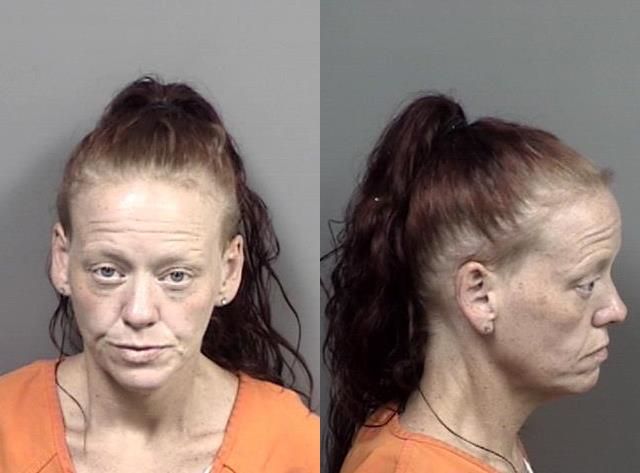 JAMIE LYNN BROWN of CRYSTAL RIVER - citruscountybusted.com