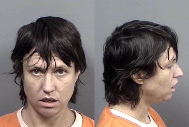 TARA JORDAN HERVISH of CRYSTAL RIVER - citruscountybusted.com