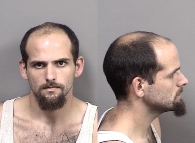 TRAVIS DAWSON MCVEY of INGLIS - citruscountybusted.com
