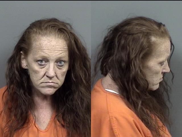 ANGEL MARIE WILLS of FLORAL CITY - citruscountybusted.com