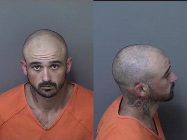 STEVEN MARK LANE of LECANTO - citruscountybusted.com